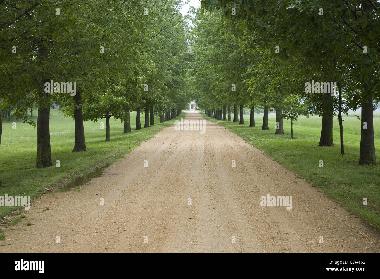 Tree lined road to Southern Plantation in Surry County Virginia Stock ...