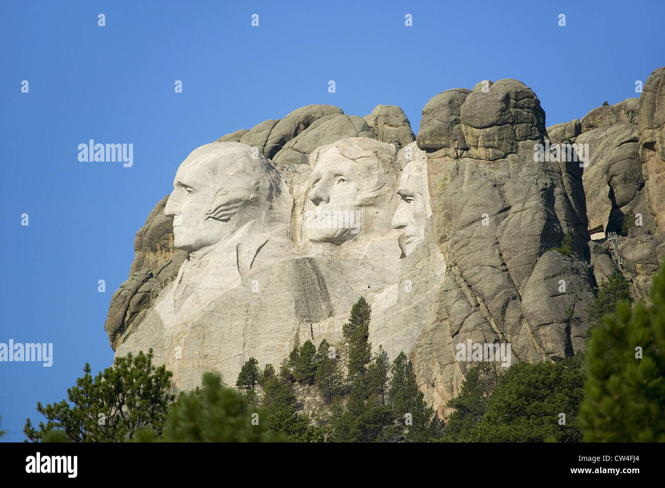 A profile Presidents George Washington Thomas Jefferson Teddy Roosevelt ...