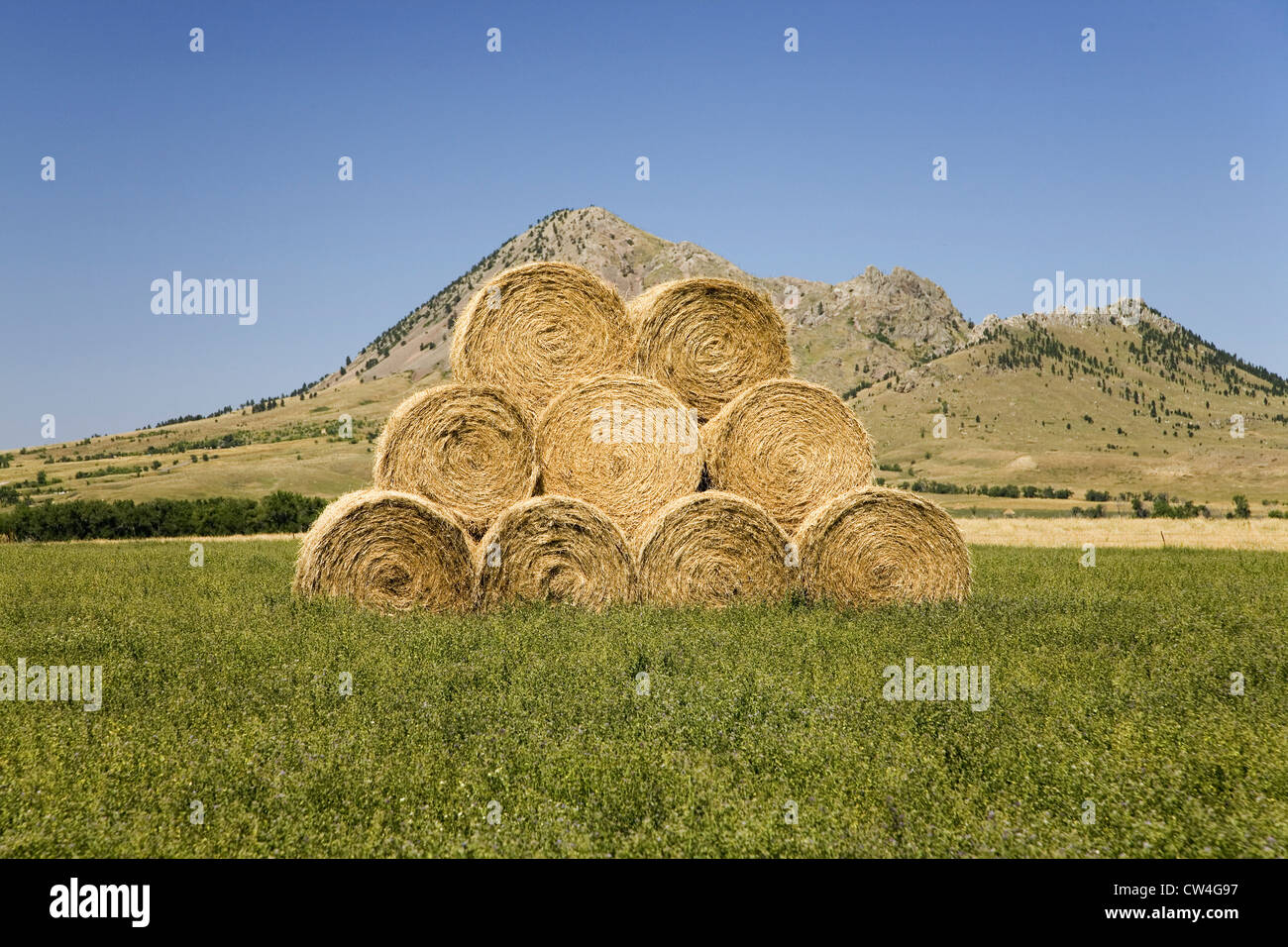 Stacked hay bails hi-res stock photography and images - Alamy