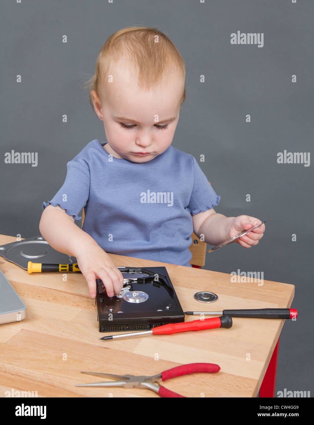 child working at open hard drive in grey background with laptop ...