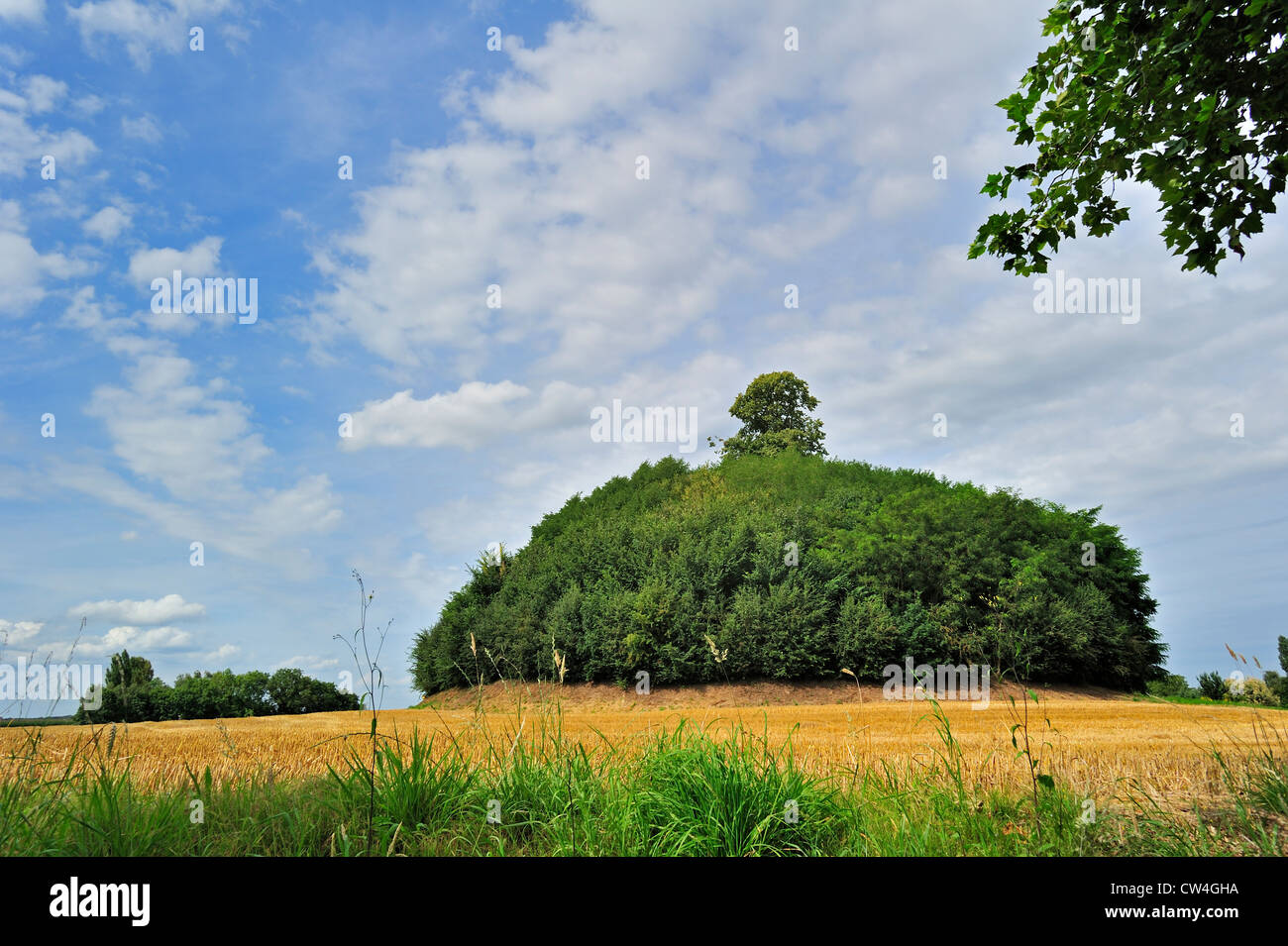 The Glimes Tumulus, a Gallo-Roman burial mound near Incourt, Walloon ...