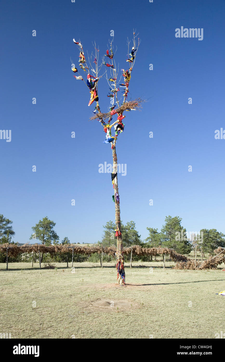 Indian Prayer Tree from Gathering of Grandmas, near Hot Springs, South ...