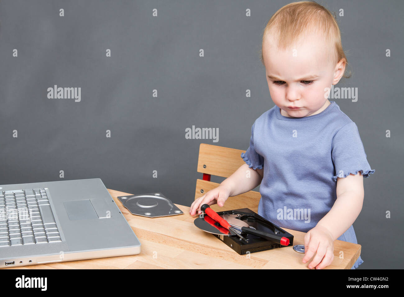 child working at open hard drive in grey background with laptop ...