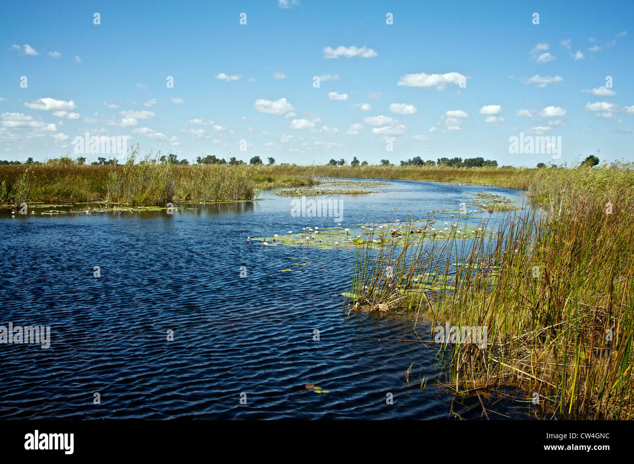 Landscape of Botswana, Africa Stock Photo - Alamy