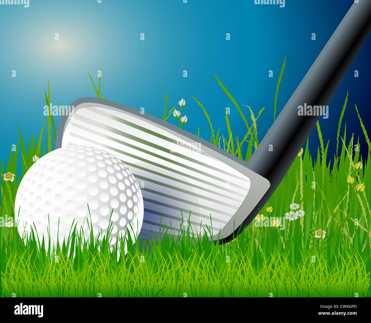 Golf club and ball in grass Stock Photo - Alamy