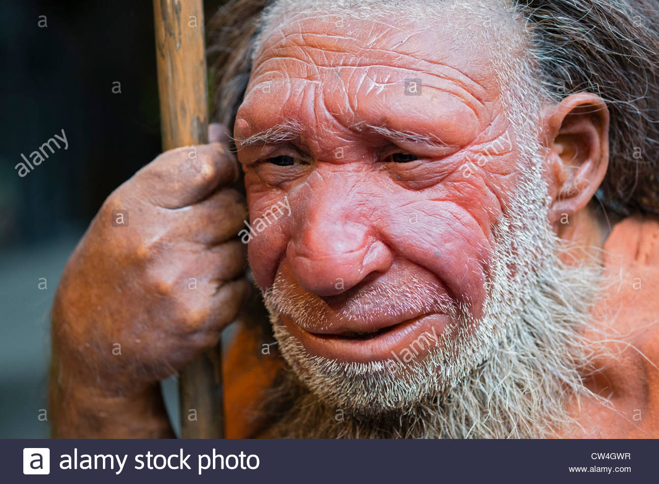 Neanderthal Museum Stock Photos & Neanderthal Museum Stock Images - Alamy