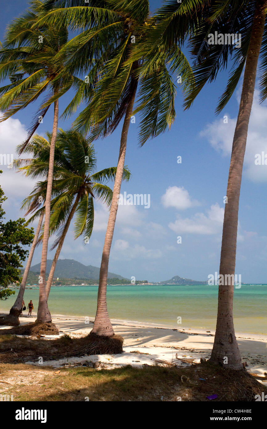 Ko samui island thailand hi-res stock photography and images - Alamy