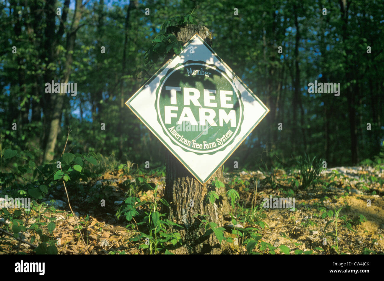 Sign reads tree farm Stock Photo - Alamy