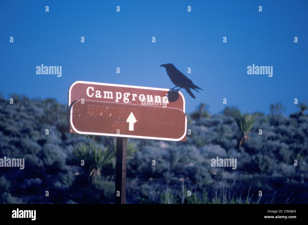 Campground directional sign hi-res stock photography and images - Alamy