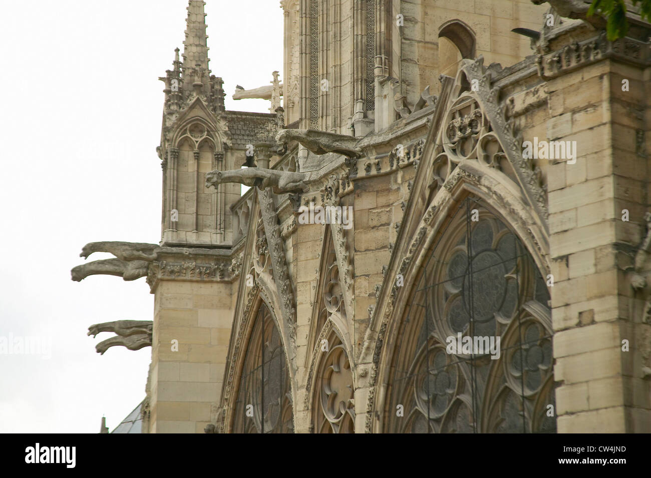 Gargoyles on the exterior of the Notre Dame Cathedral, Paris, France ...