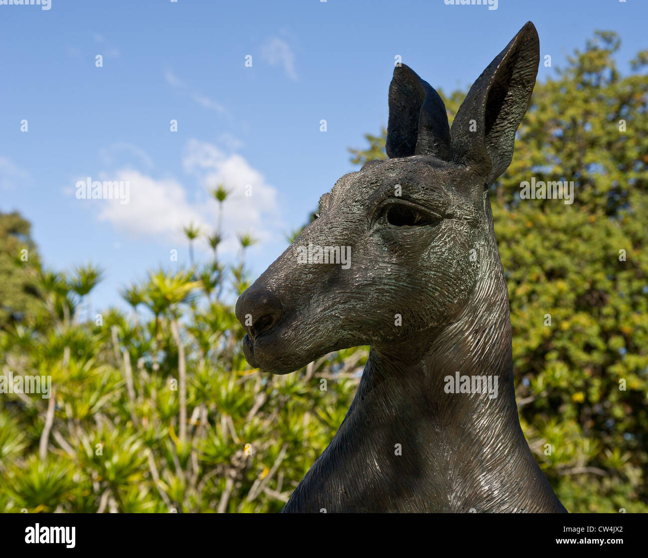 Bronze sculpture kangaroo in perth hi-res stock photography and images ...