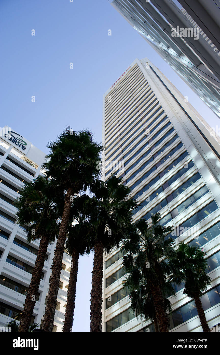 Perth Western Australia - High rise buildings and trees in Perth ...