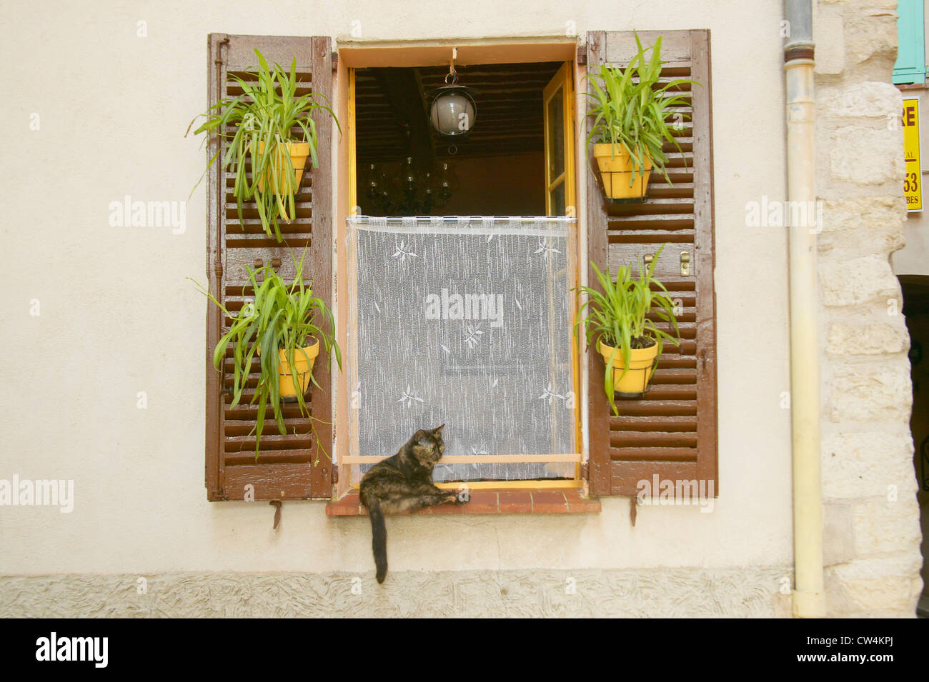 Cat in window, Antibes, France Stock Photo - Alamy