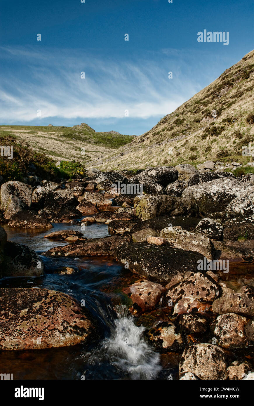 Tavy valley spring hi-res stock photography and images - Alamy
