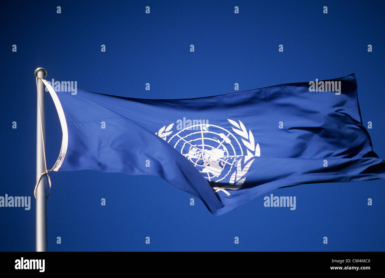 National flag/colours of the United Nations Stock Photo - Alamy