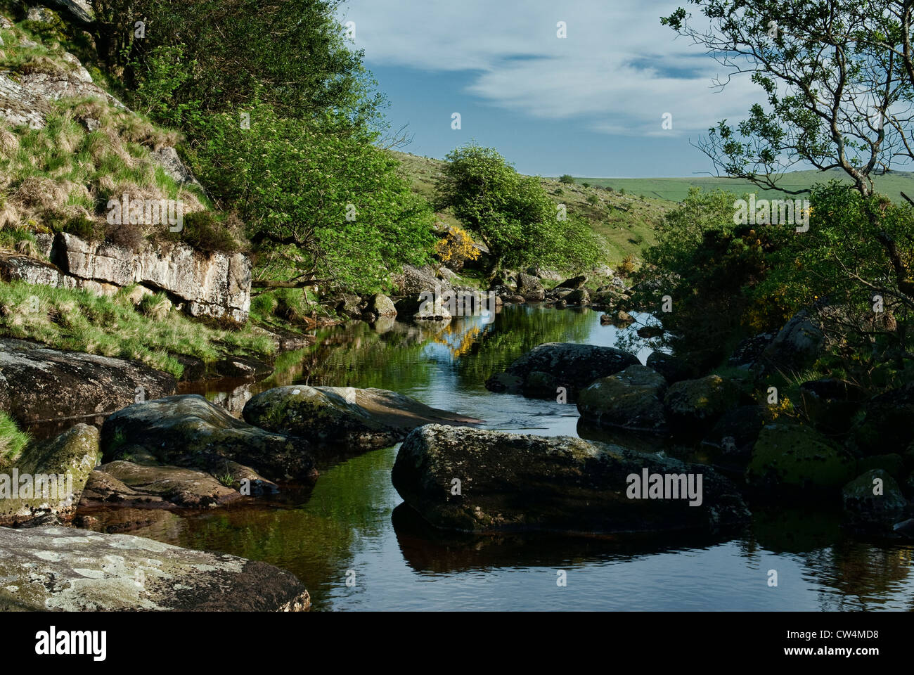 River Tavy in spring Stock Photo - Alamy