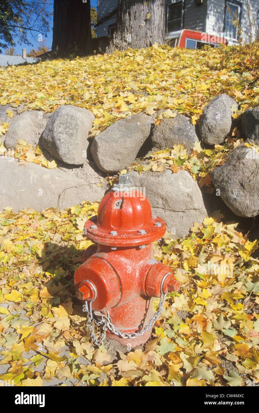 A red fire hydrant in a pile of autumn leaves Stock Photo - Alamy