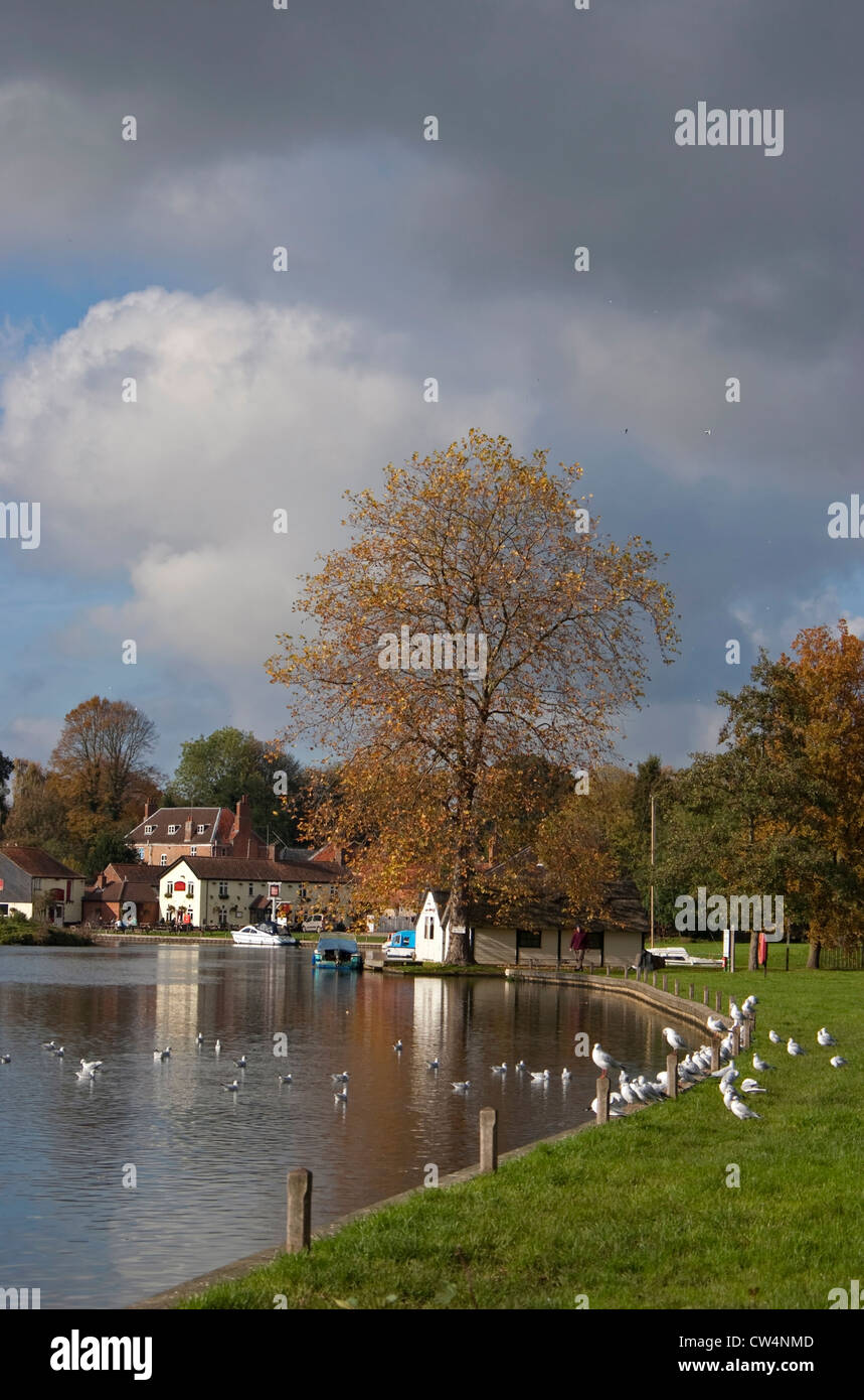 Autumn at Coltishall beside The Common and the River Bure in the ...