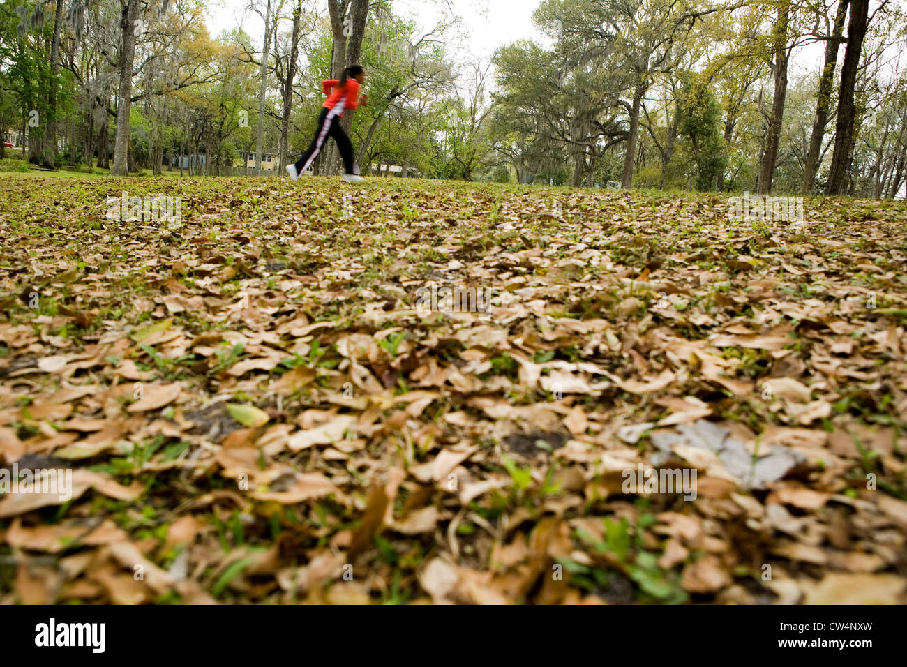 Sports ground outdoors hi-res stock photography and images - Alamy
