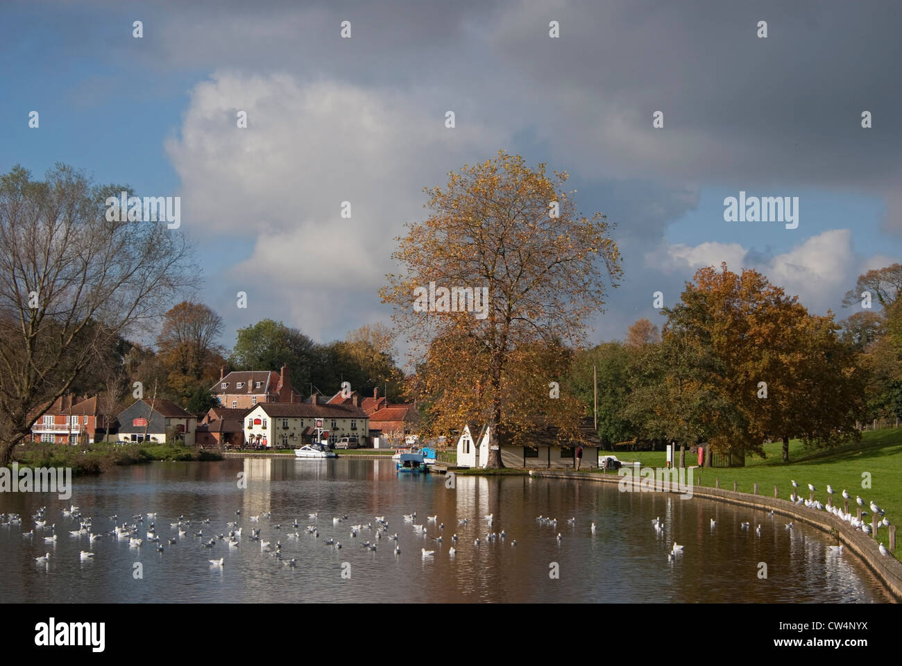Autumn at Coltishall beside The Common and the River Bure in the ...