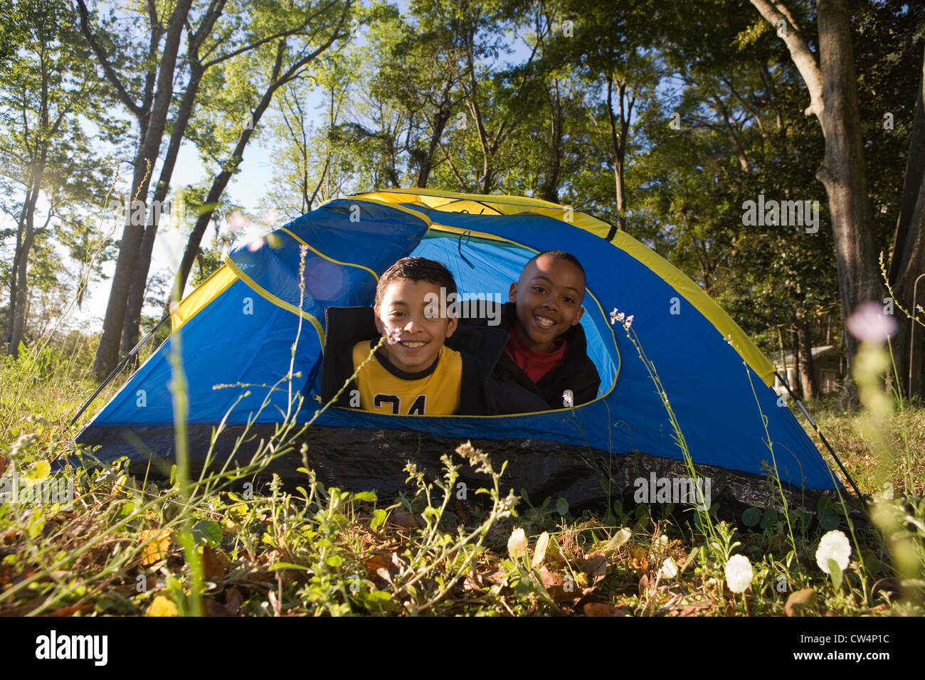 Portrait of cheerful friends looking through tent at forest Stock Photo ...