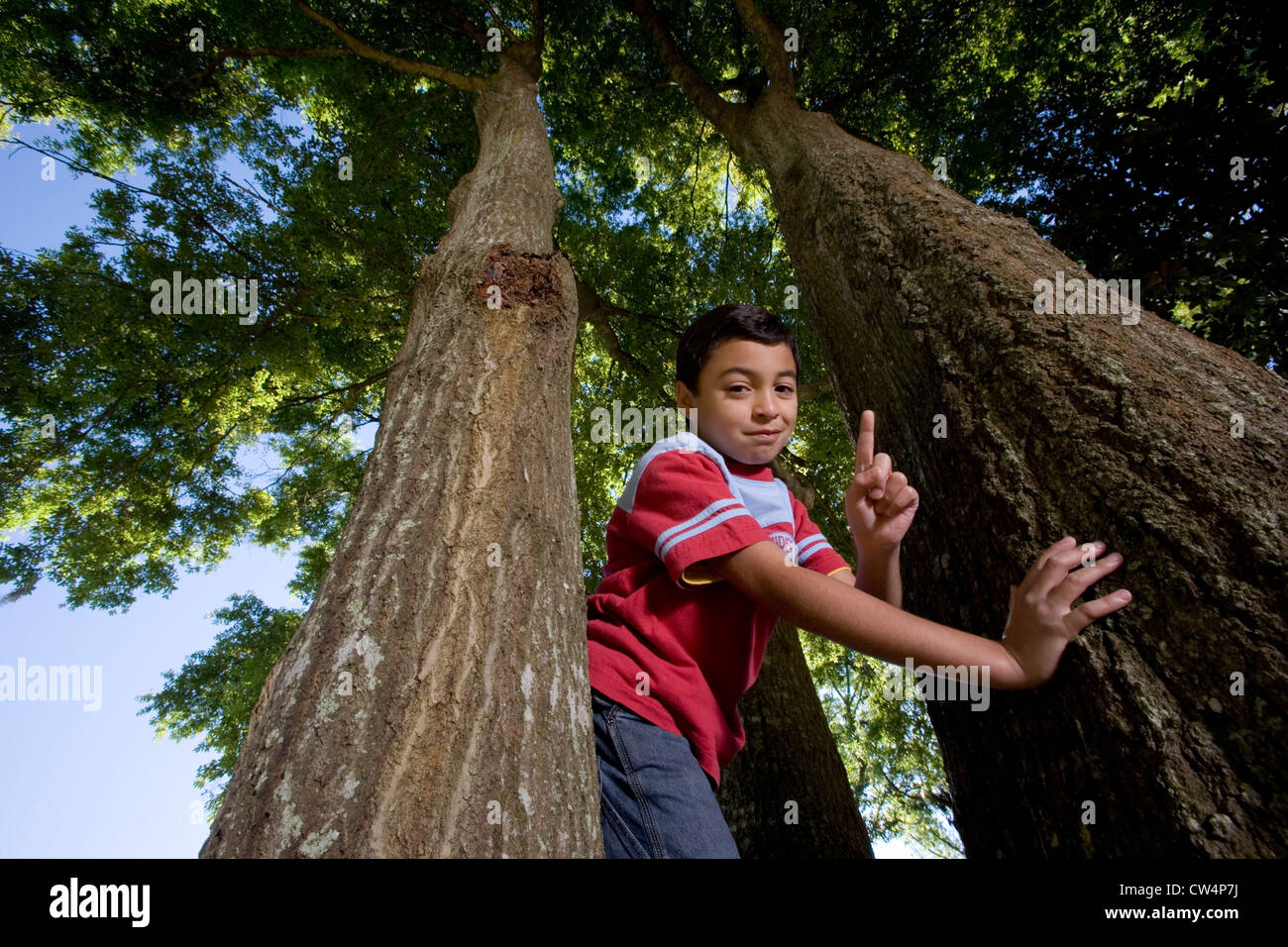 Child pointing at trees hi-res stock photography and images - Alamy