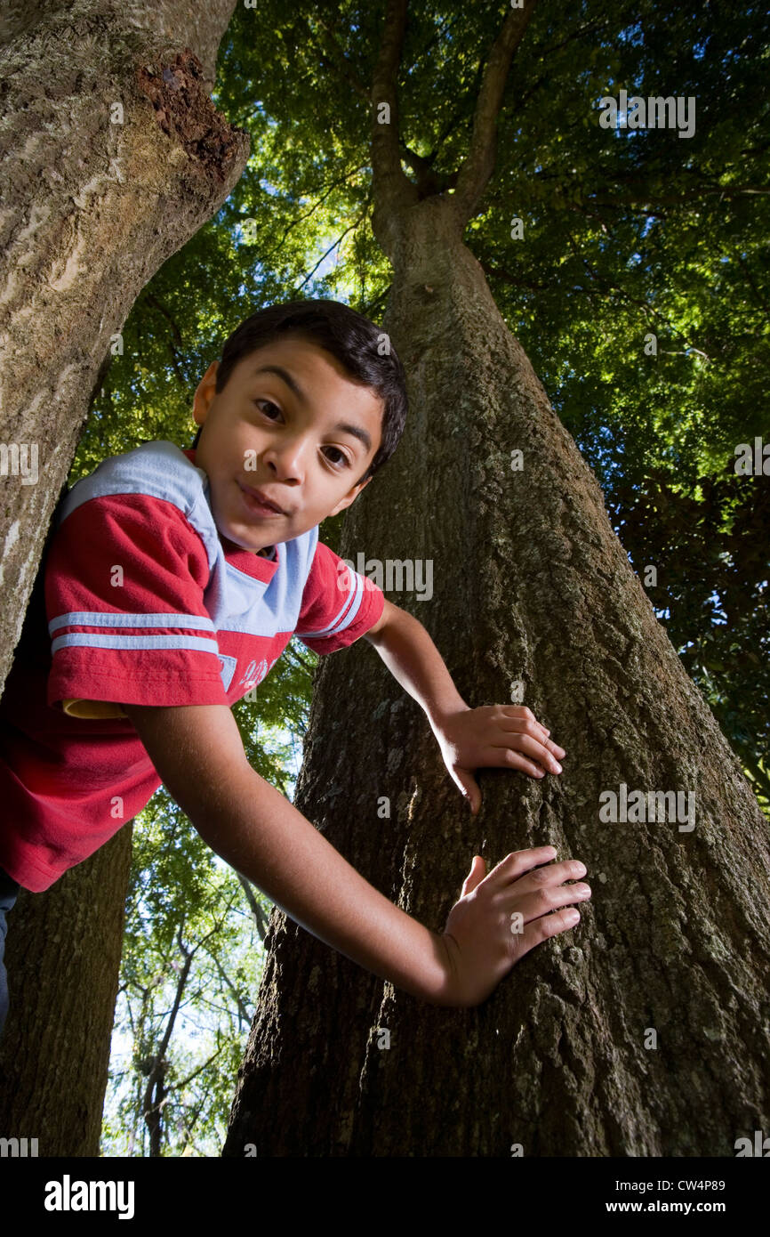 Portrait of a boy amid trees Stock Photo - Alamy