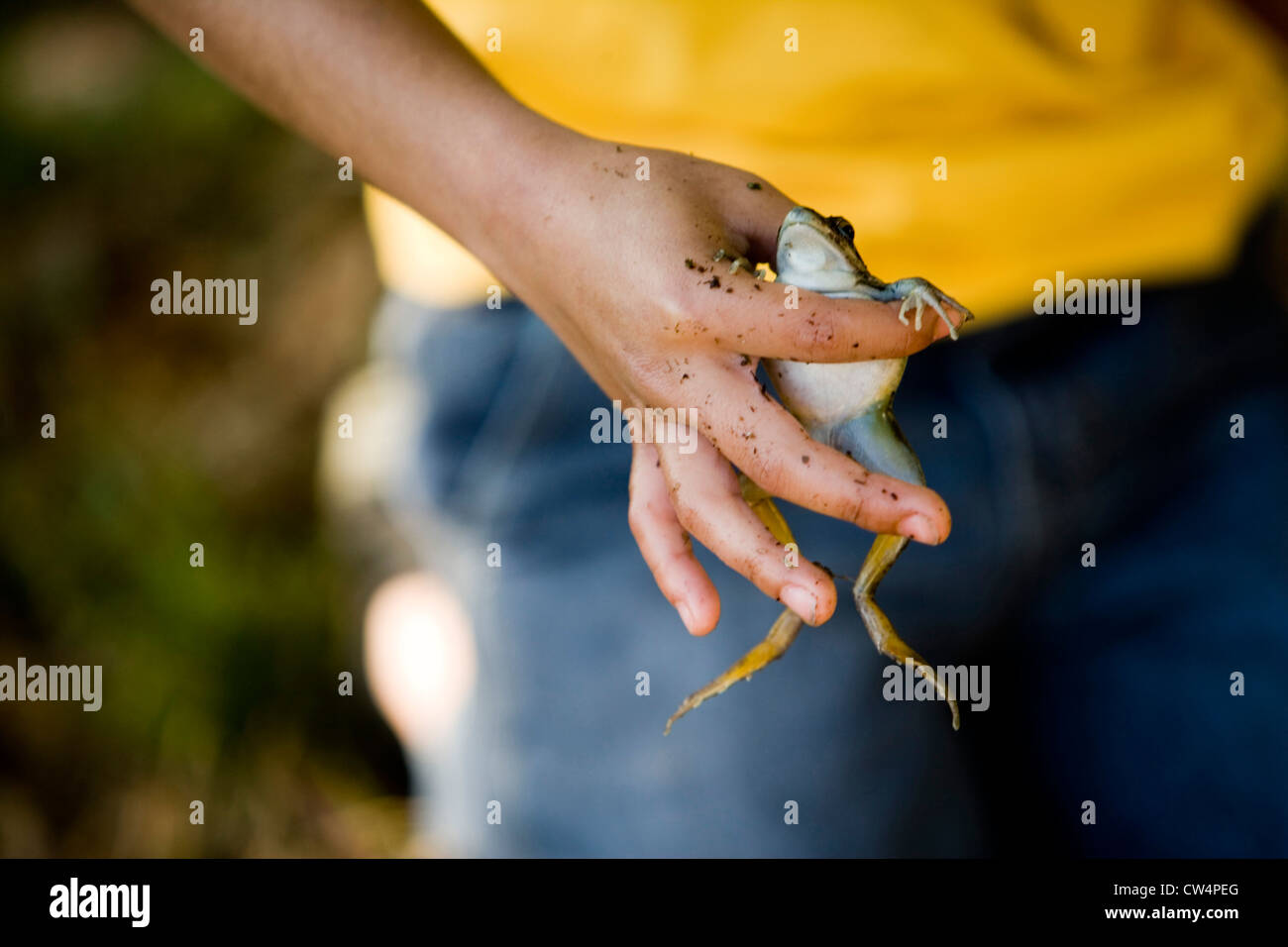 Frog hands hi-res stock photography and images - Alamy