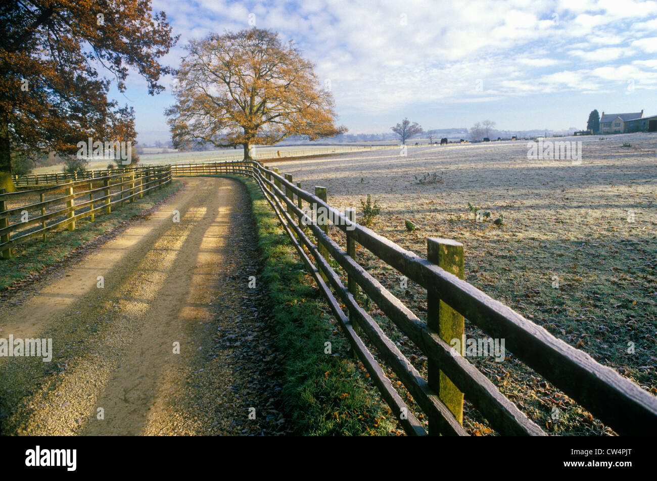 Upper brails hi-res stock photography and images - Alamy