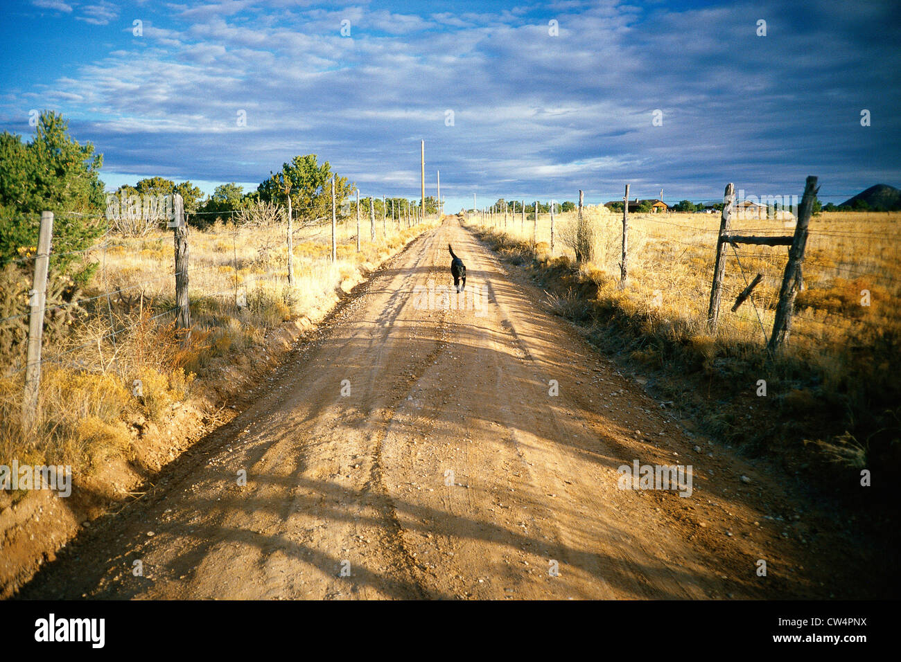 Dog by rustic fence hi-res stock photography and images - Alamy