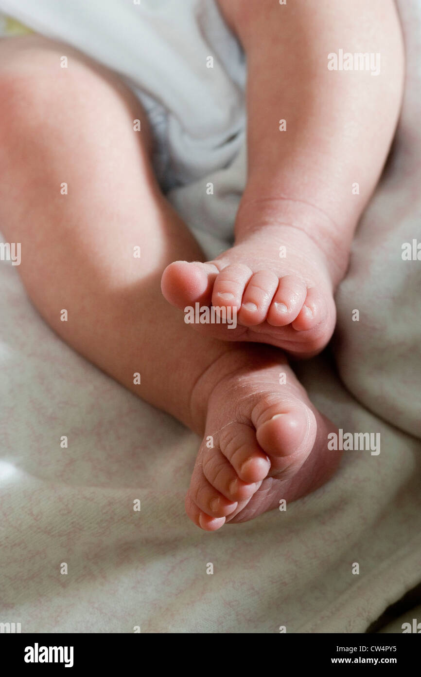 Close-up of a leg of a newborn baby Stock Photo - Alamy