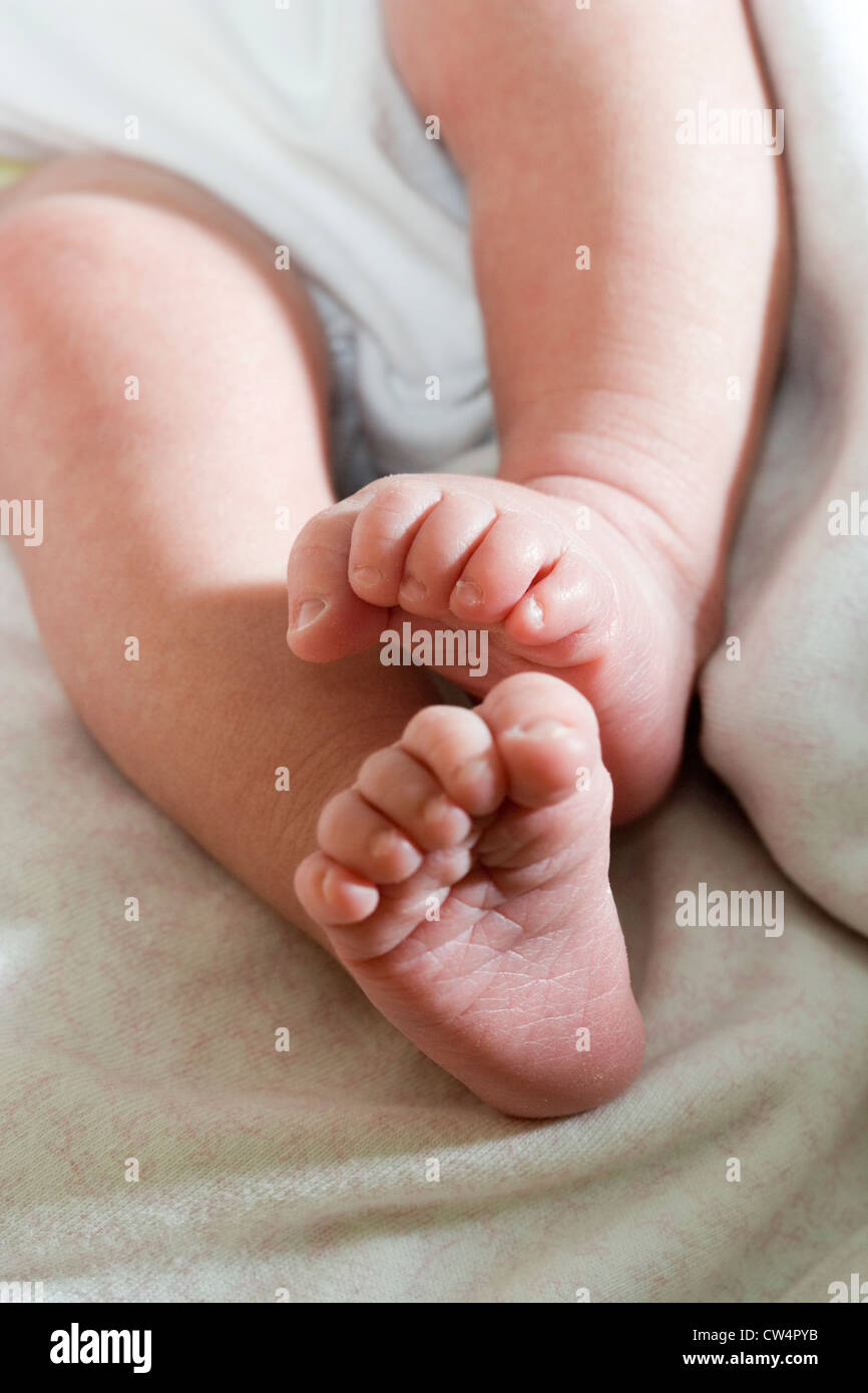 Close-up of a leg of a newborn baby Stock Photo - Alamy