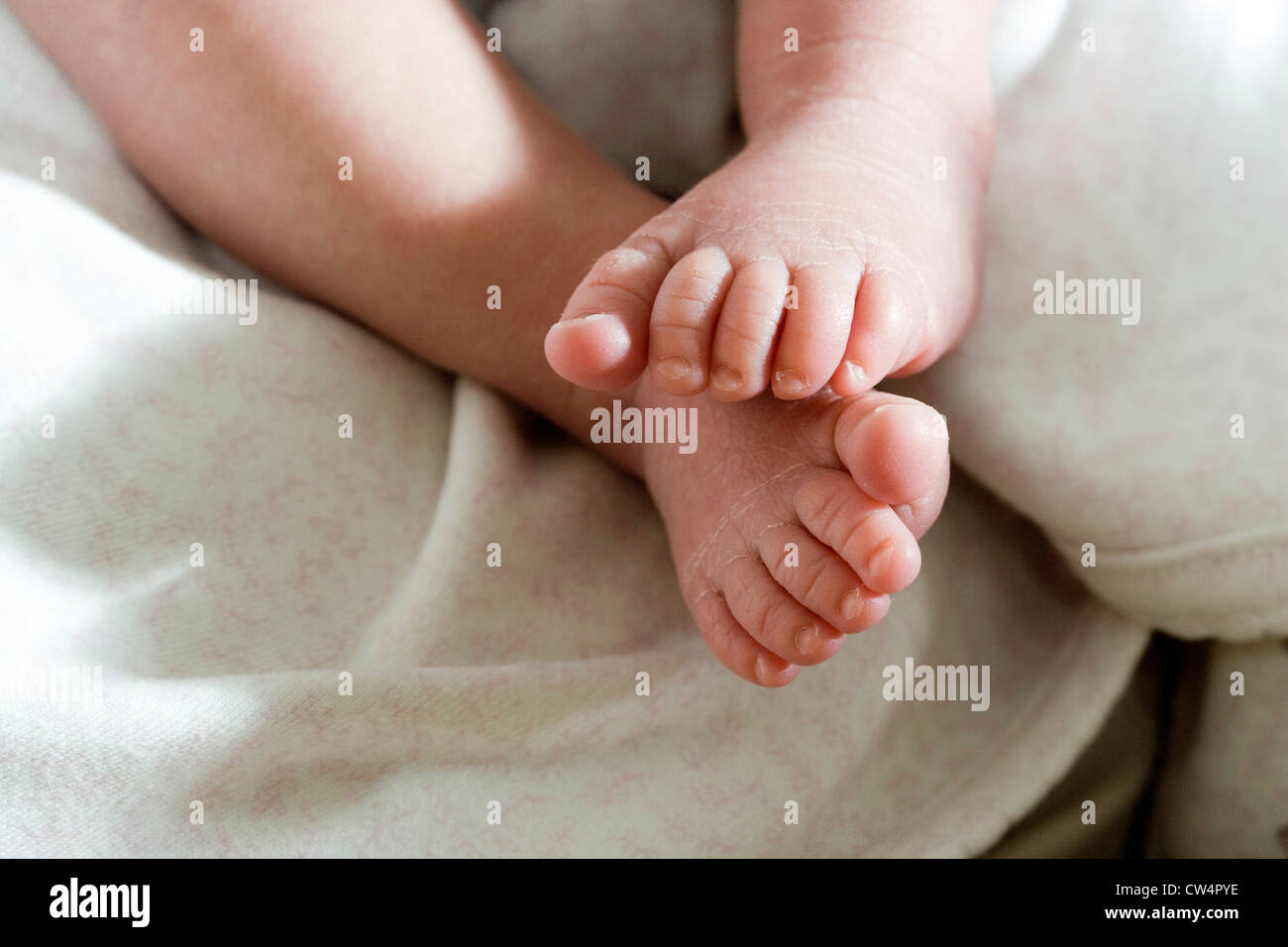 Close-up of a leg of a newborn baby Stock Photo - Alamy