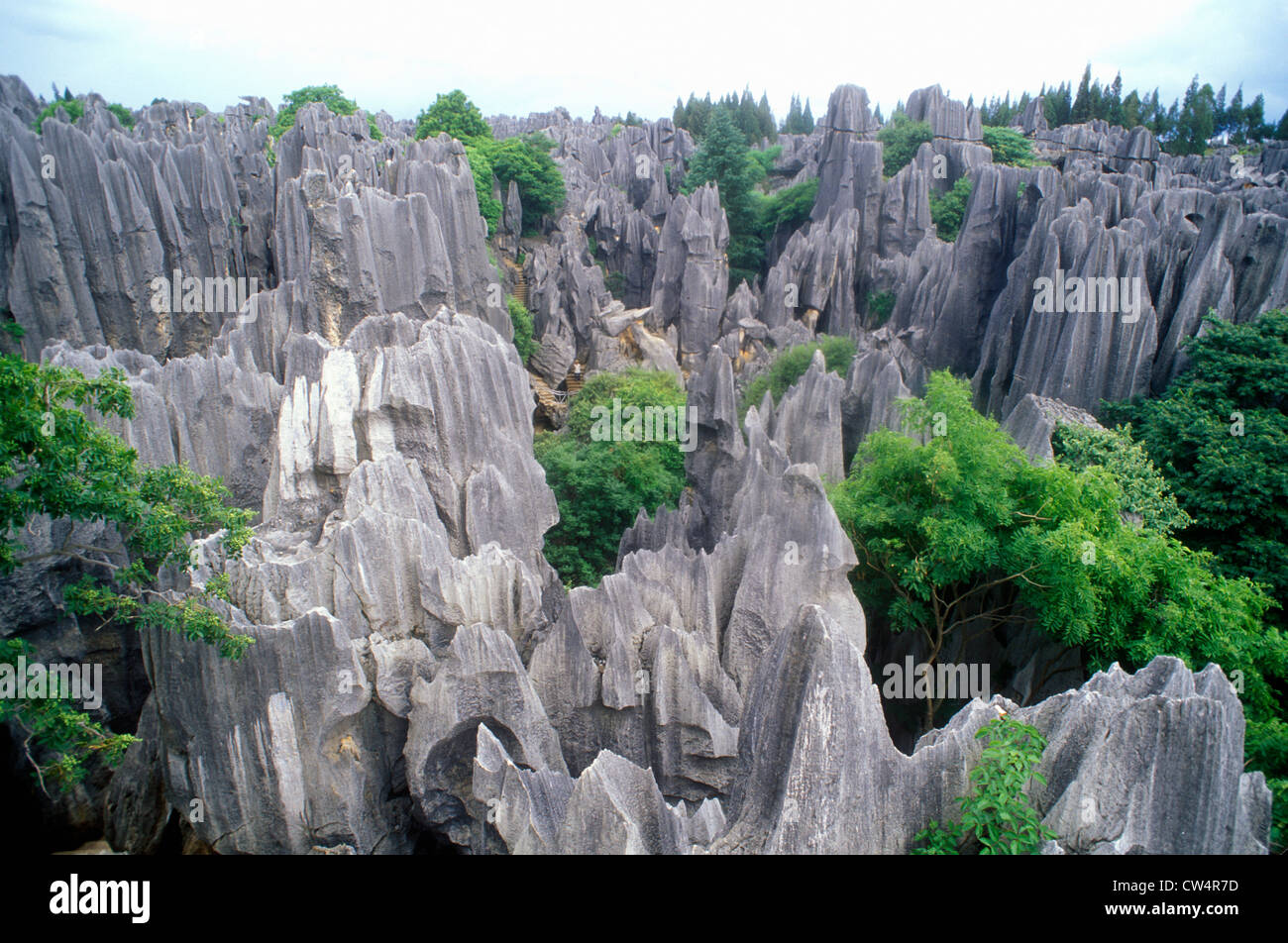 The Stone Forest near Kunming, People's Republic of China Stock Photo ...