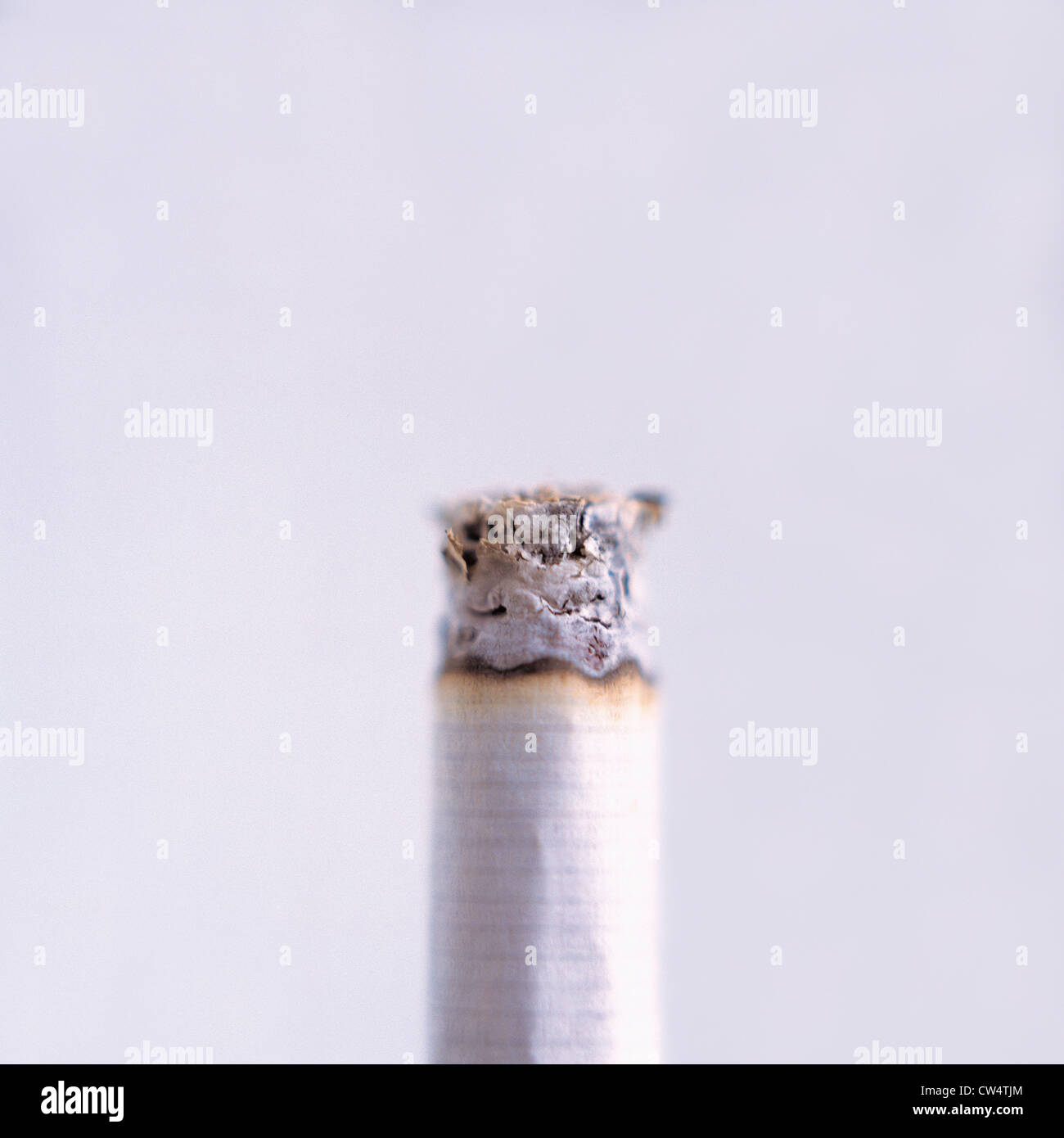 Extreme close-up of the burning end of a cigarette Stock Photo - Alamy