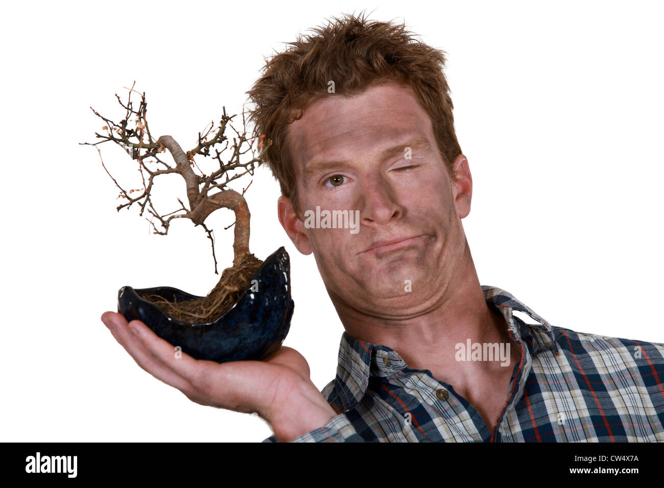 funny picture of man holding bonsai after explosion Stock Photo - Alamy