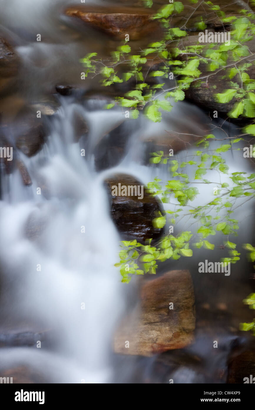 Cool, refreshing waterfall, cascading down rocks with trees and bushes ...