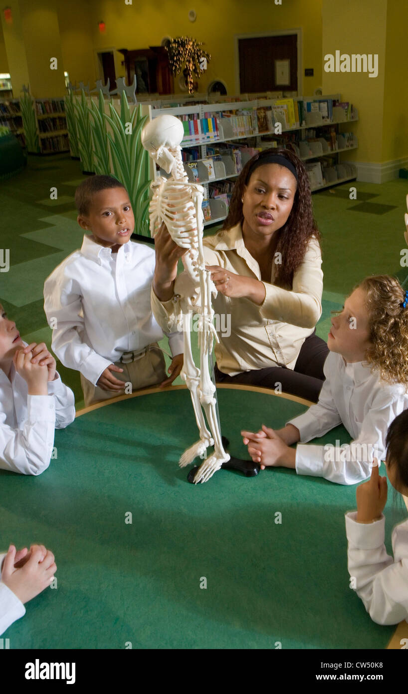 Front side view skeleton hi-res stock photography and images - Alamy