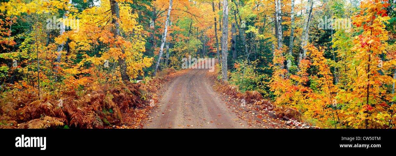 Copper colour change hi-res stock photography and images - Alamy