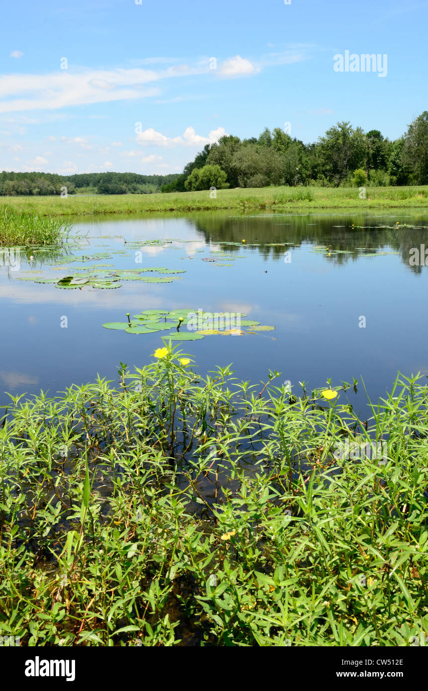 Spring time at Lake Reed Bingham State Park in Georgia Stock Photo - Alamy