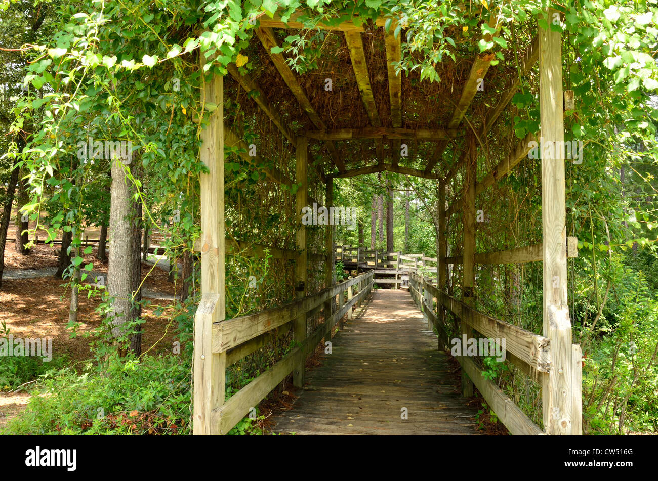 Trellis wooden hi-res stock photography and images - Alamy