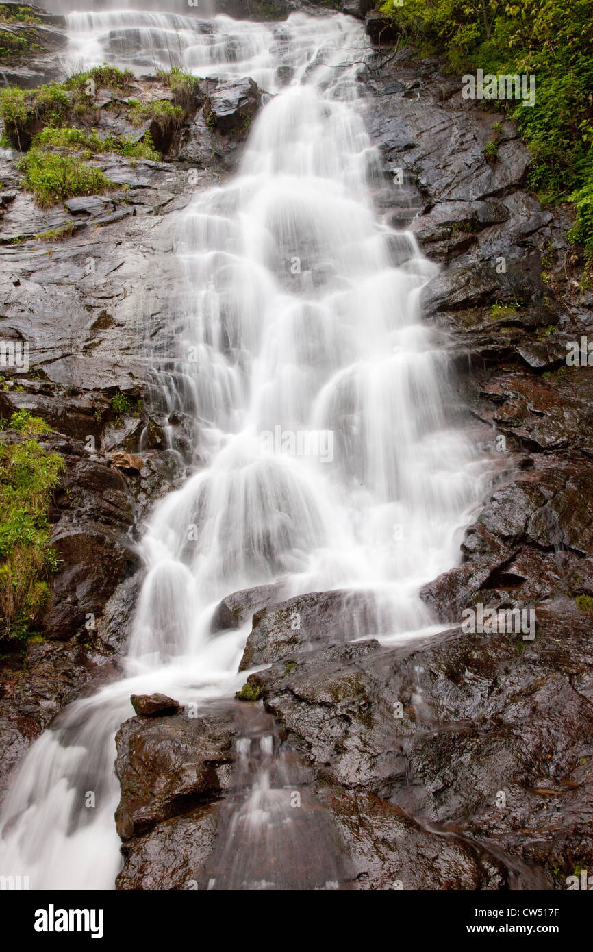 Cool, refreshing waterfall, cascading down rocks with trees and bushes ...
