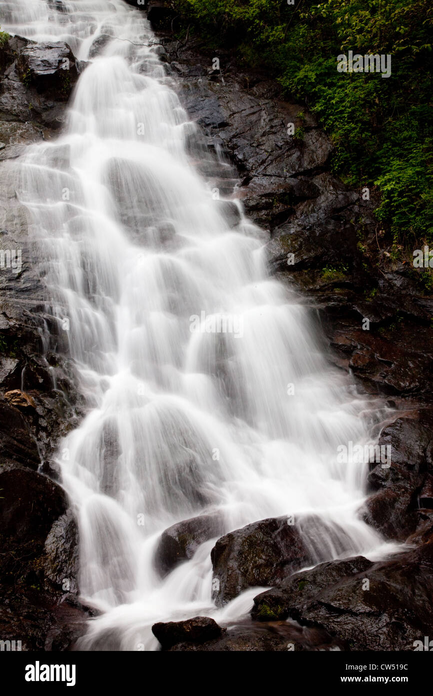 Cool, refreshing waterfall, cascading down rocks with trees and bushes ...