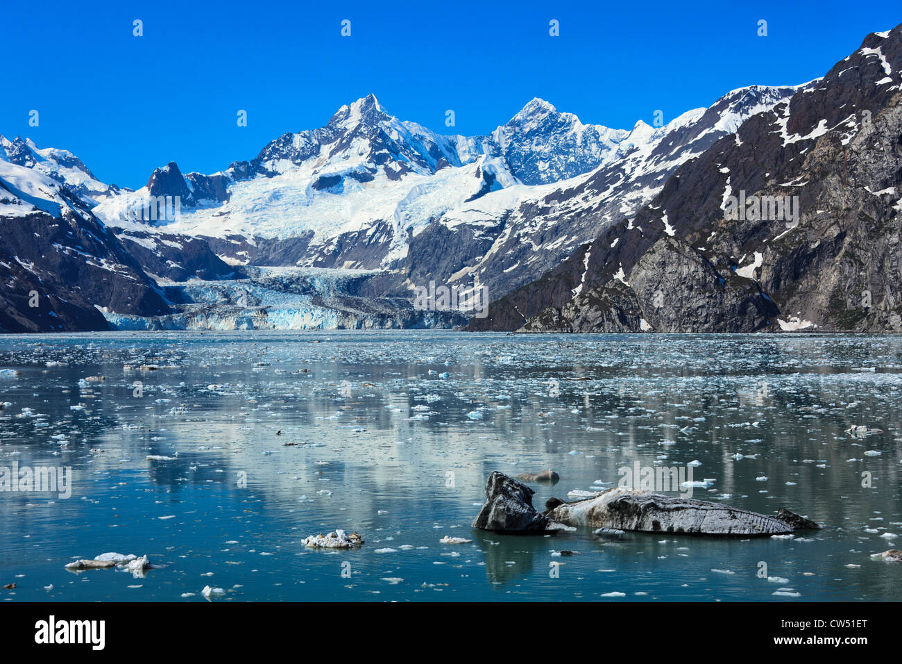 USA, Alaska, Johns Hopkins Glacier in Glacier Bay Stock Photo - Alamy