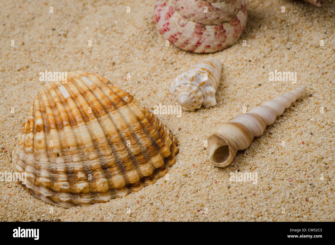 Beautiful shot riverside resort hi-res stock photography and images - Alamy