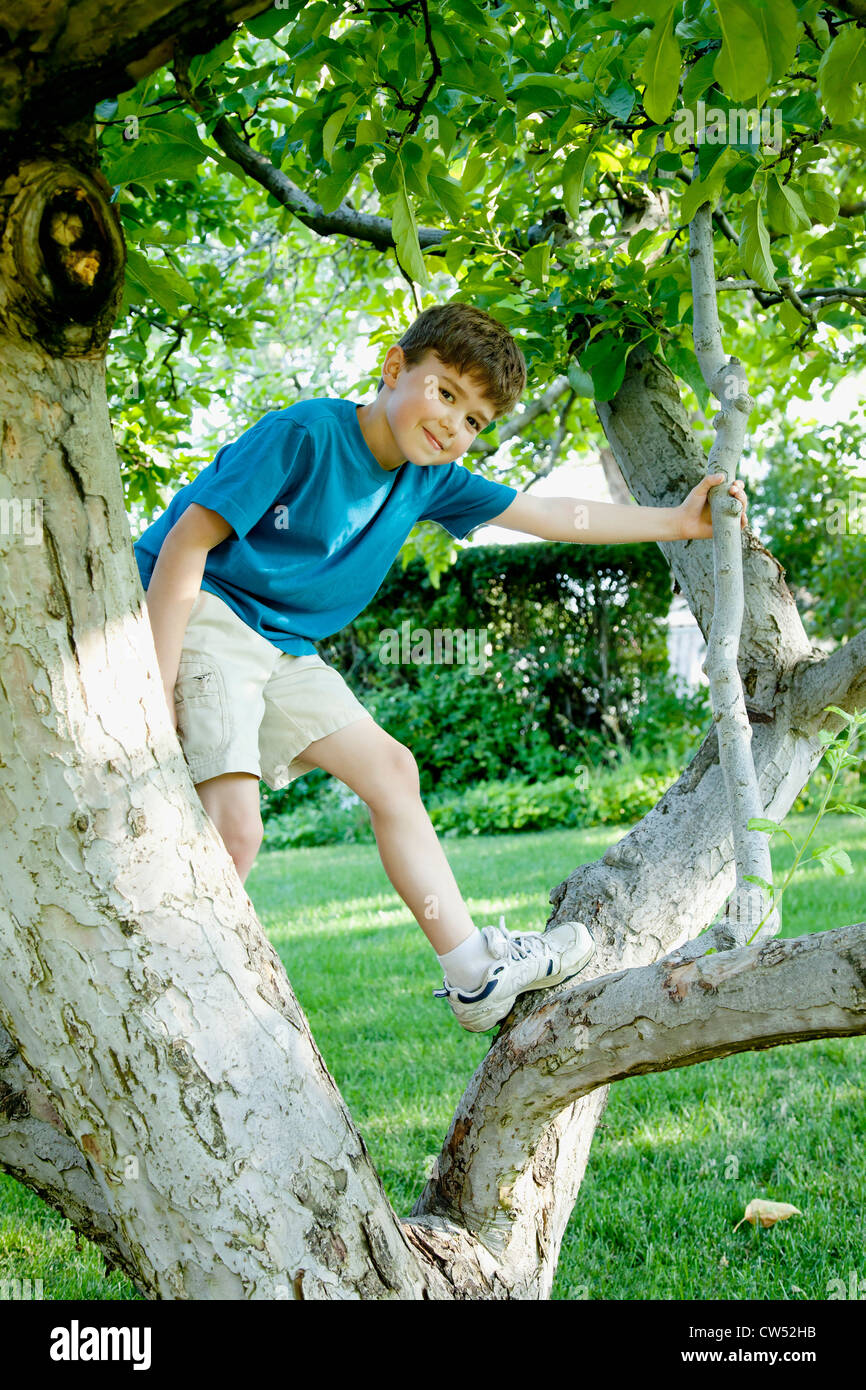 Boy climbing tree Stock Photo - Alamy