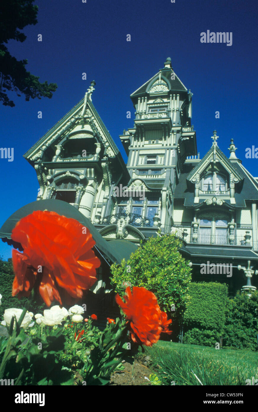 Victorian house with red roses hi-res stock photography and images - Alamy
