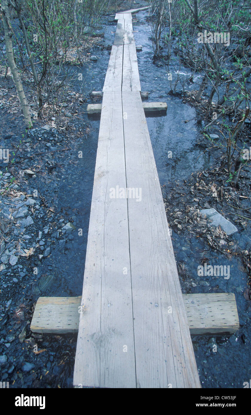 Plank crossing a creek hi-res stock photography and images - Alamy