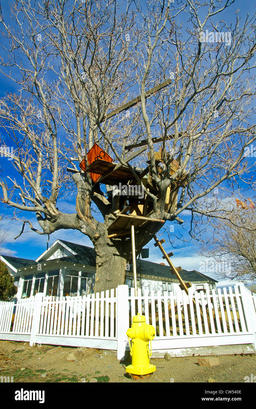 Yellow fire hydrant with white picket fence and treehouse in background ...