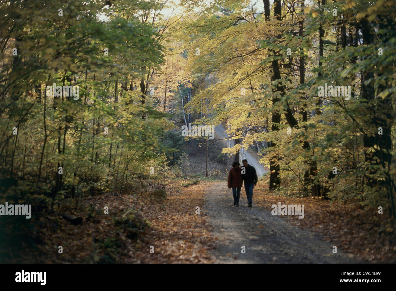 Silhouette of a young couple strolling on a path in a forest Stock ...